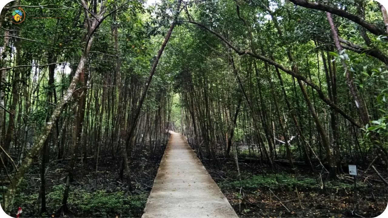 √ 21+ Tempat Menarik di Kuala Selangor Wajib Singgah 2026