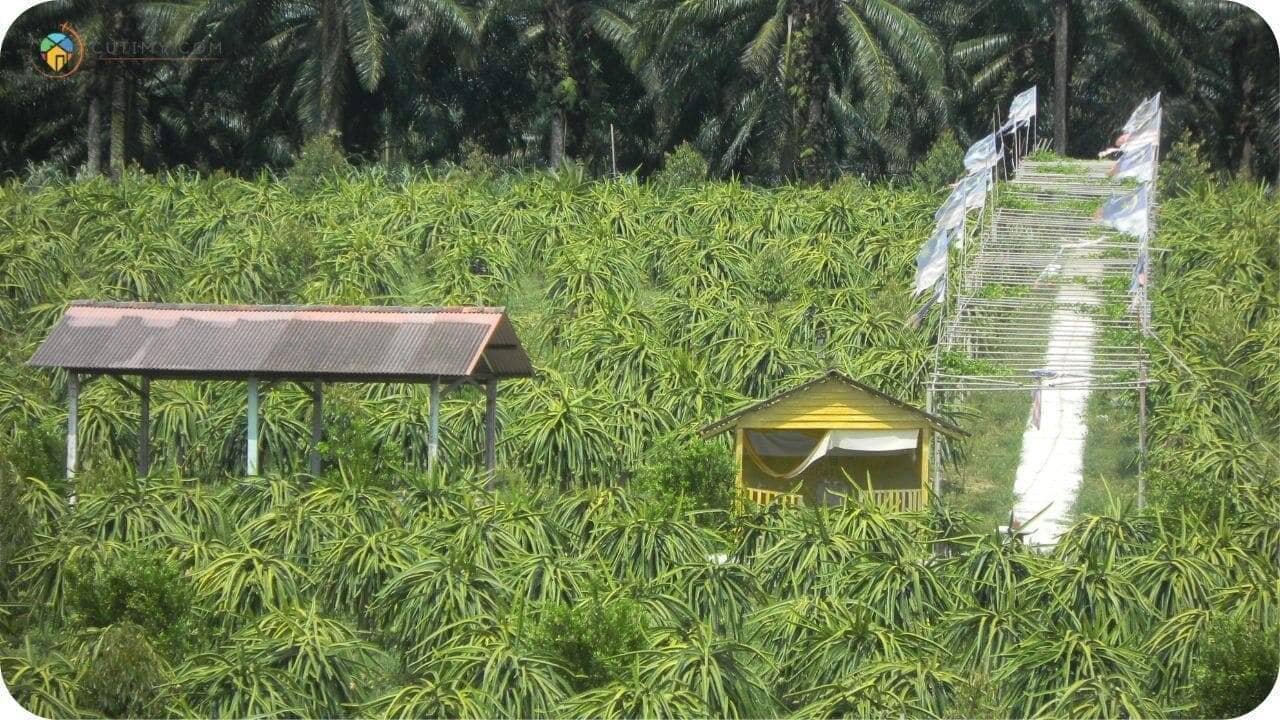 √ 15+ Tempat Menarik Di Alor Gajah Yang Wajib Singgah! 2025